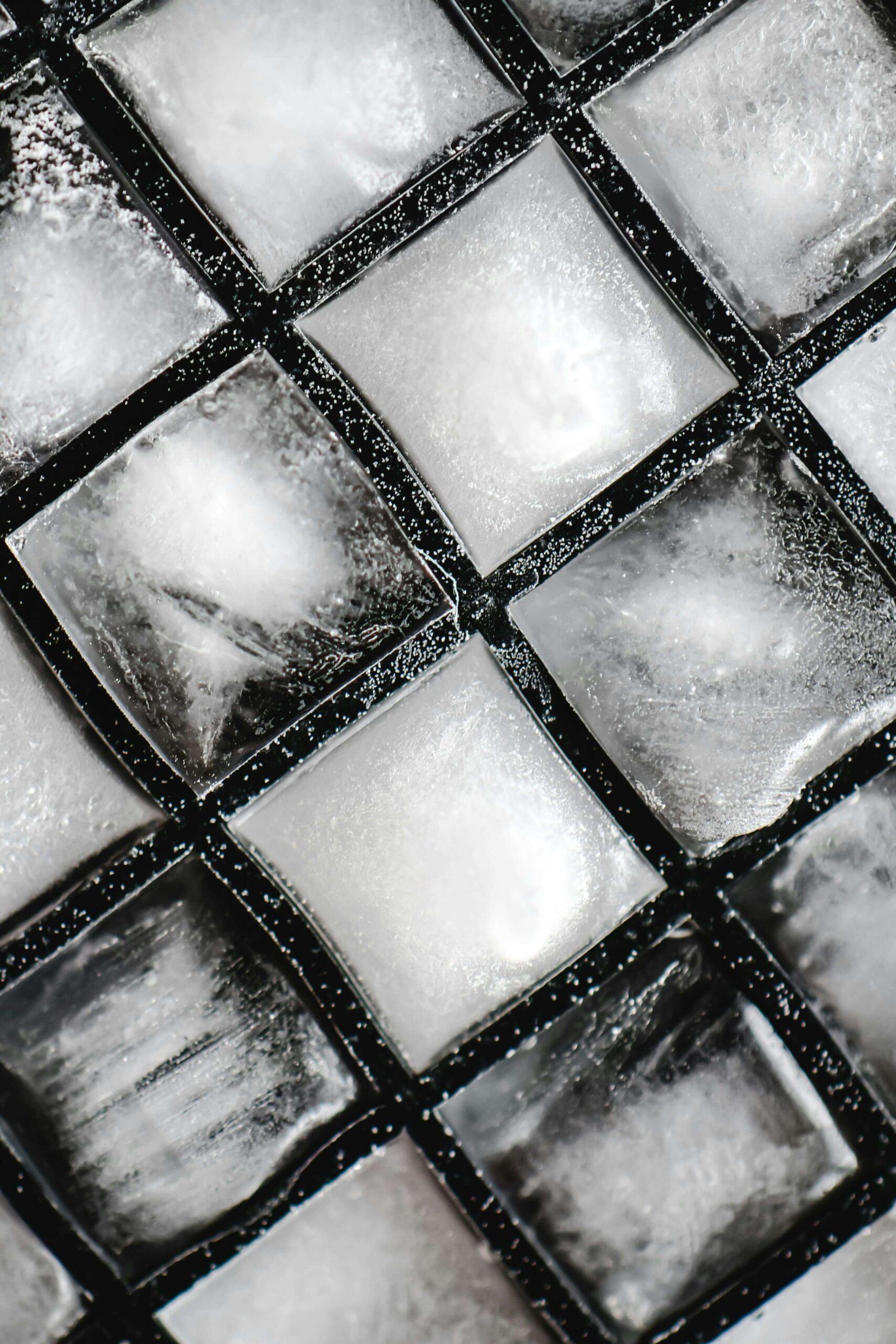 The Evolution of Ice – MELTDOWN